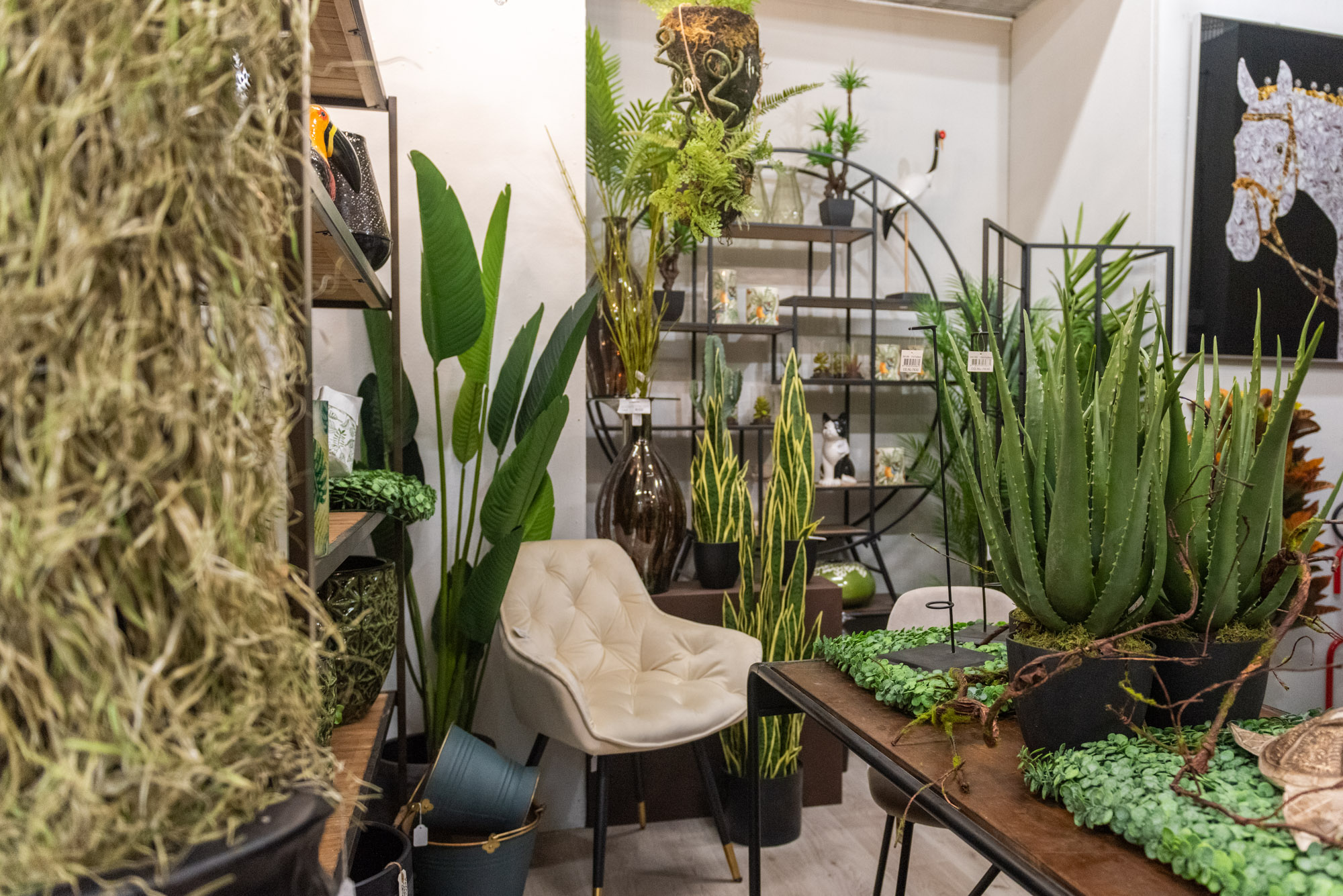 Flori2 Srl - Ingrosso per Fiorai, Wedding Planner, Pasticcerie, Fiori ...