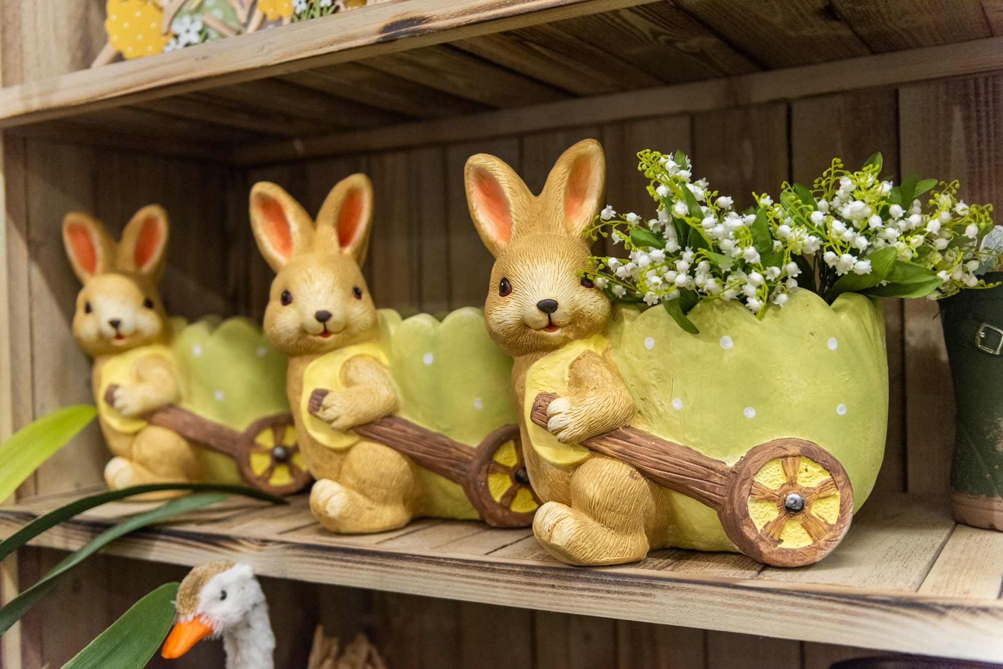 Flori2 Srl - Ingrosso per Fiorai, Wedding Planner, Pasticcerie, Fiori ...