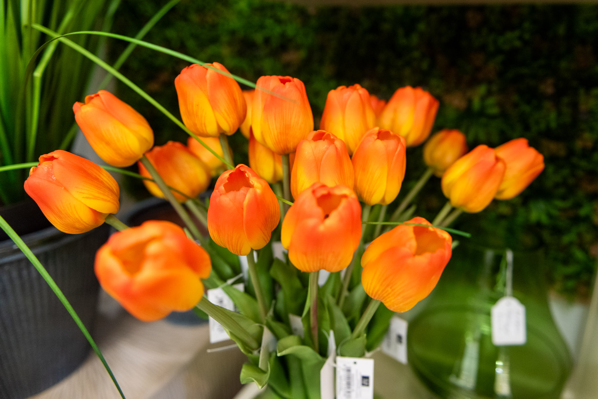 Flori2 Srl - Ingrosso per Fiorai, Wedding Planner, Pasticcerie, Fiori ...