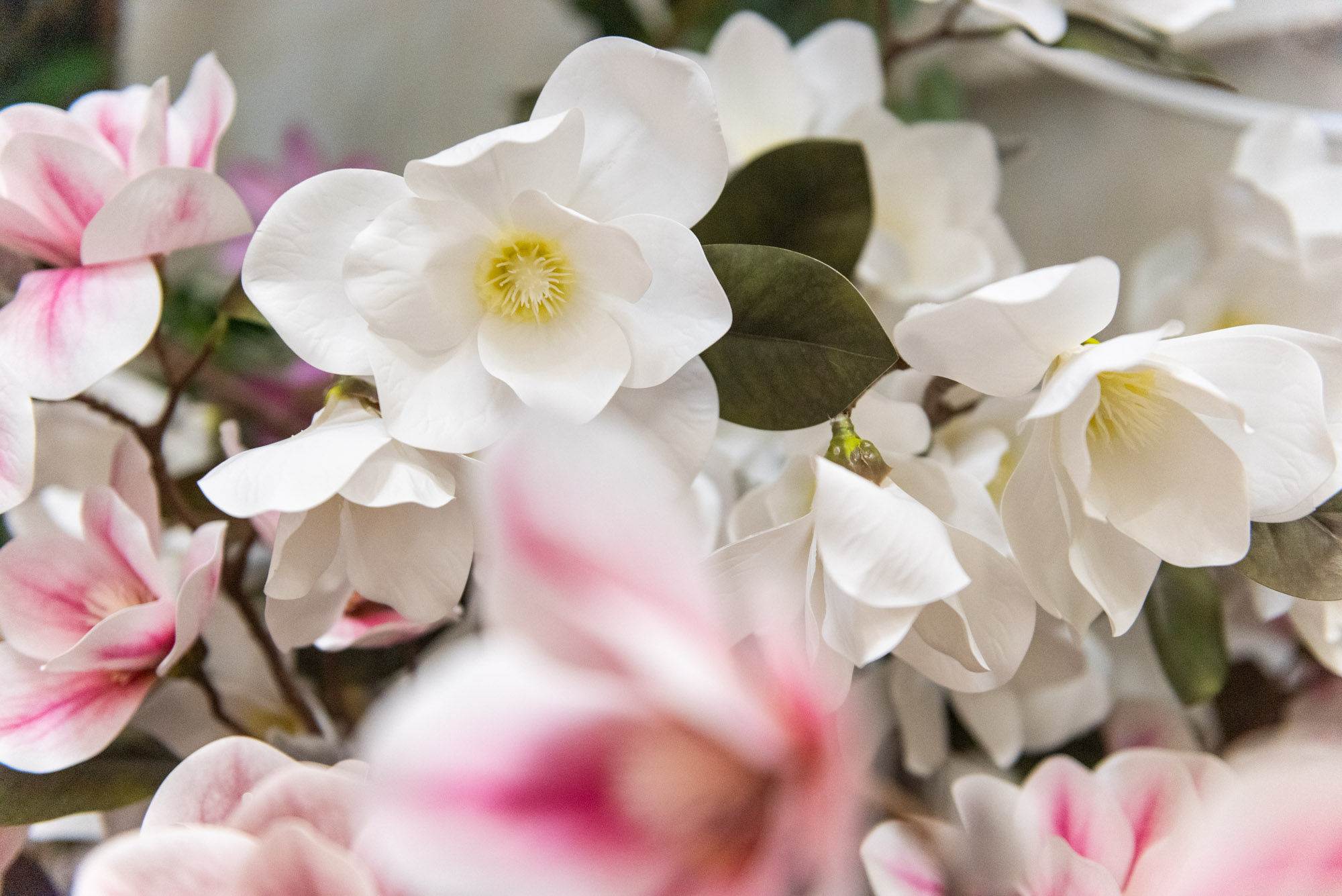 Flori2 Srl - Ingrosso per Fiorai, Wedding Planner, Pasticcerie, Fiori ...