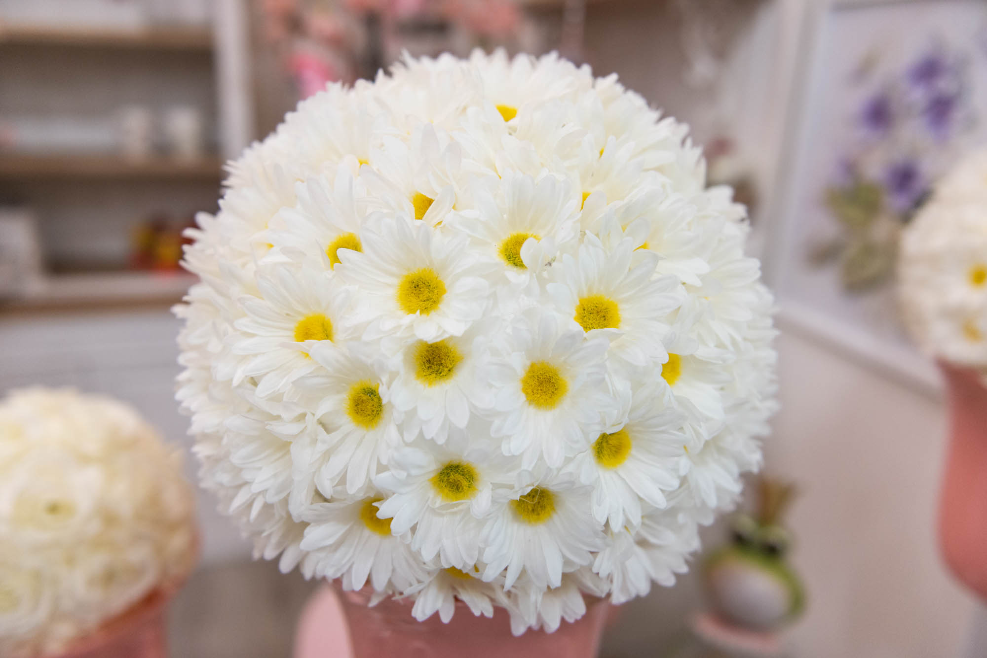 Flori2 Srl - Ingrosso per Fiorai, Wedding Planner, Pasticcerie, Fiori ...